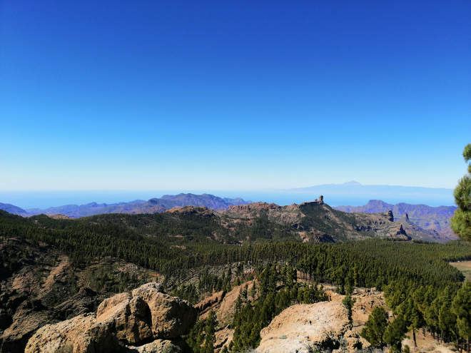 Roque Nublo | Kelionės su vaikais